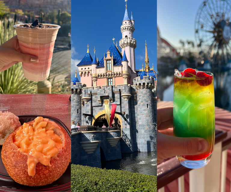 30 Behind the Scenes Secrets From Disney Parks Workers - Kate Knows