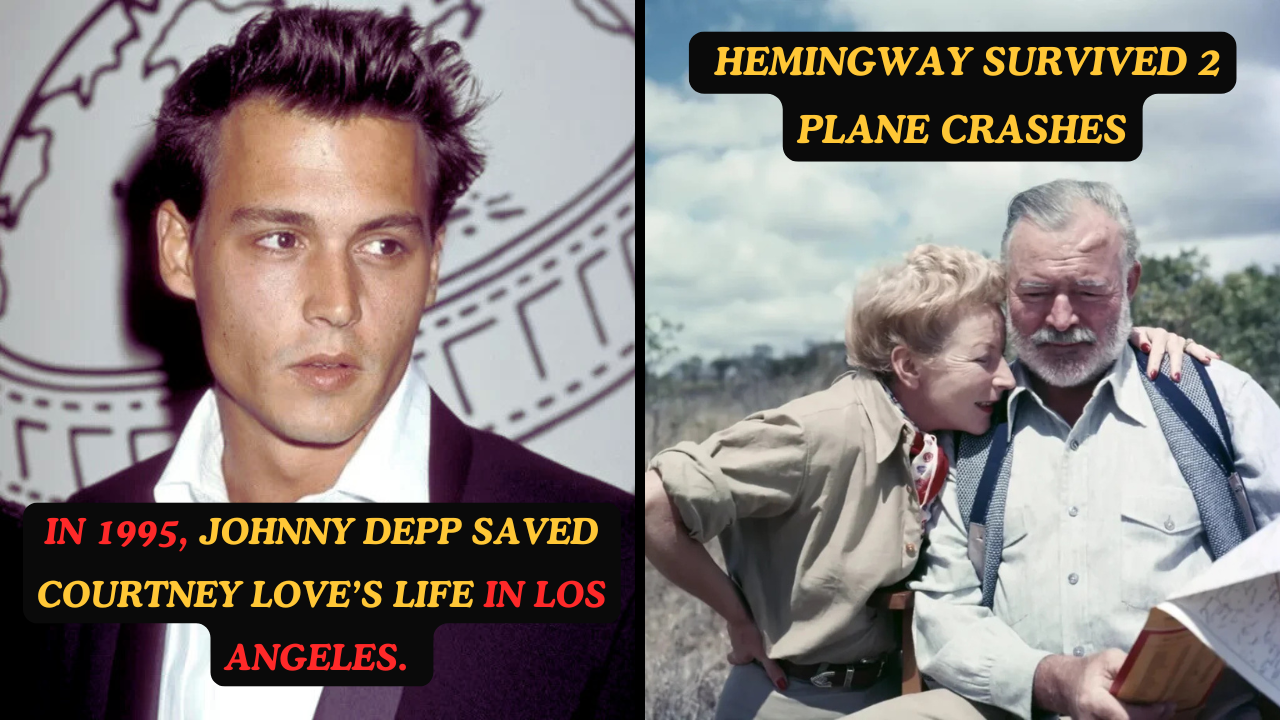 30 Totally Random Fun Facts That Are Worth Knowing - Kate Knows