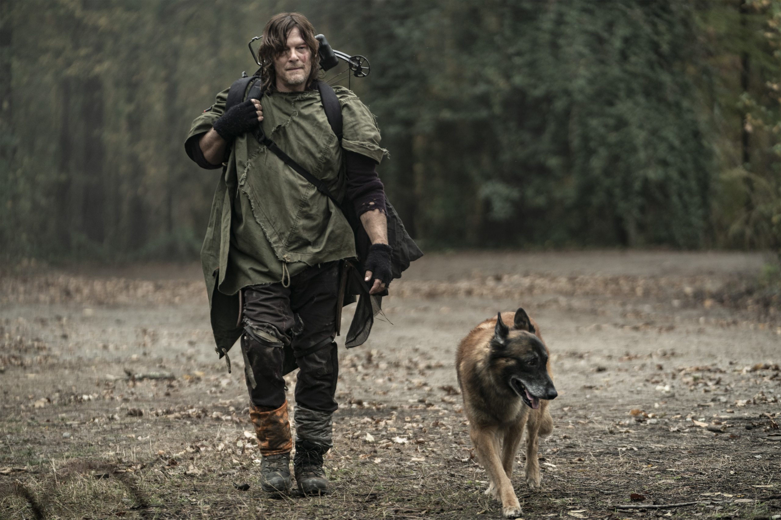 30 TV Animals That Stole The Show And Our Hearts - Kate Knows