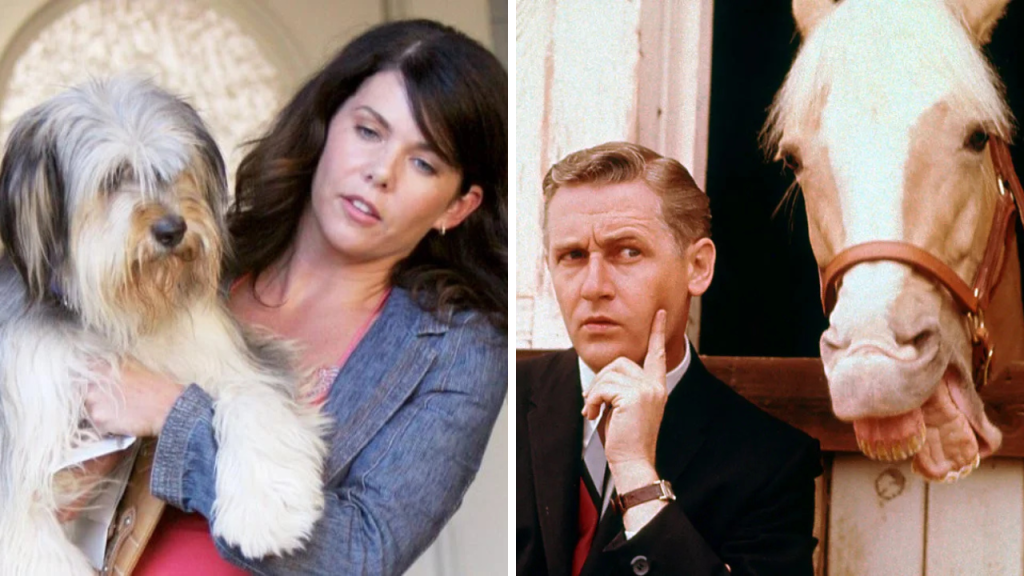 30 TV Animals That Stole The Show And Our Hearts - Kate Knows