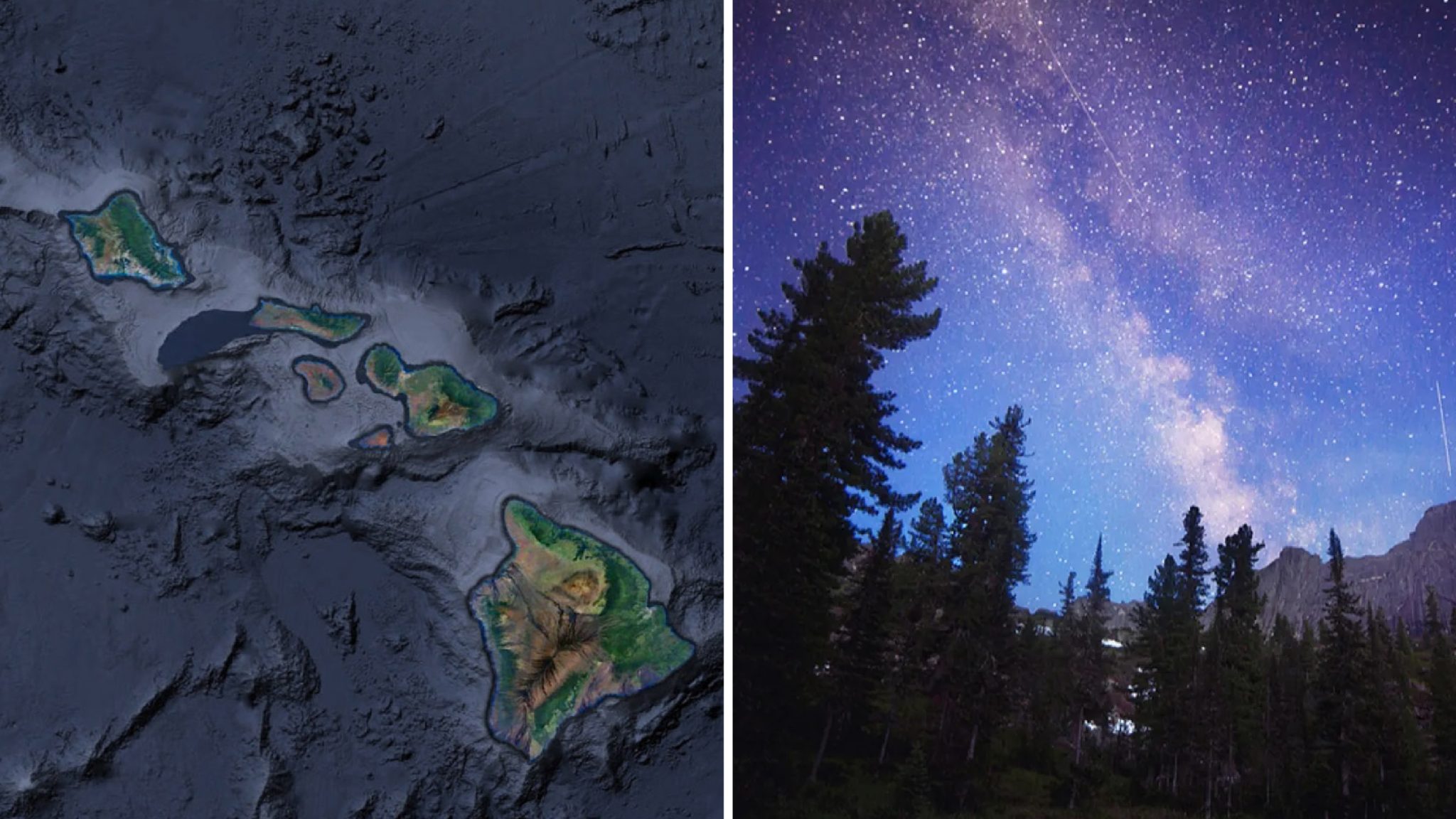 Random Science Facts To Spark Your Curiosity - Kate Knows