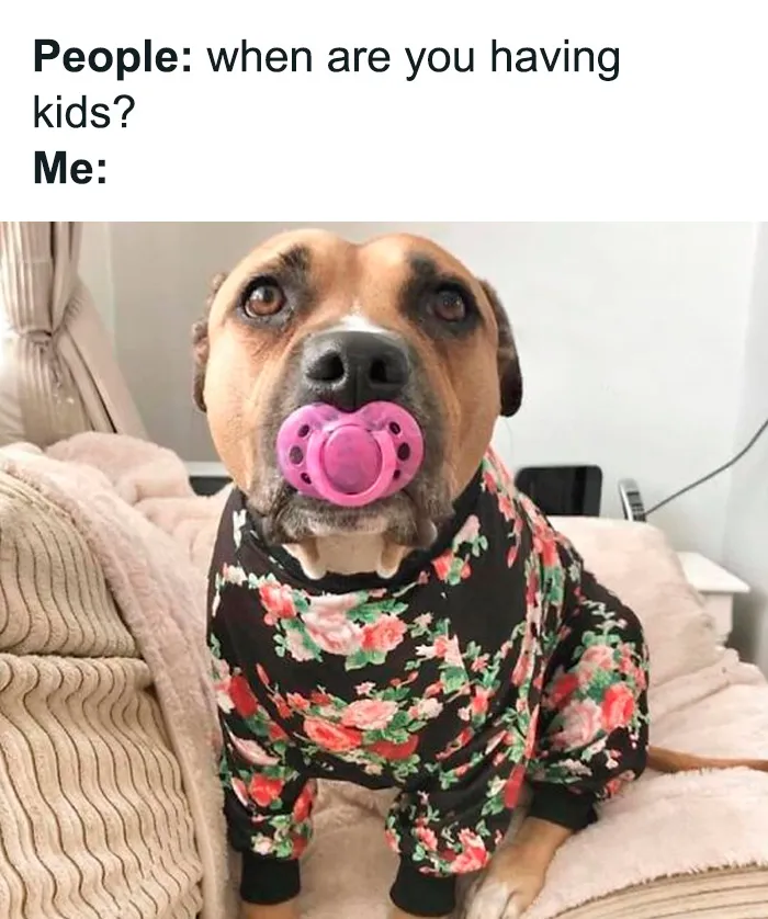 30 Funny Posts Only Dog Owners Will Understand - Kate Knows