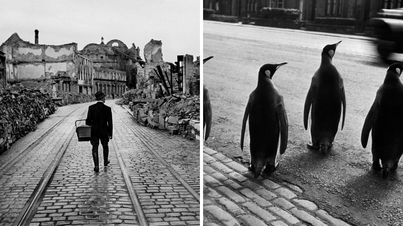 15 Photos That Show How the World Picked Up the Pieces After WWII ...