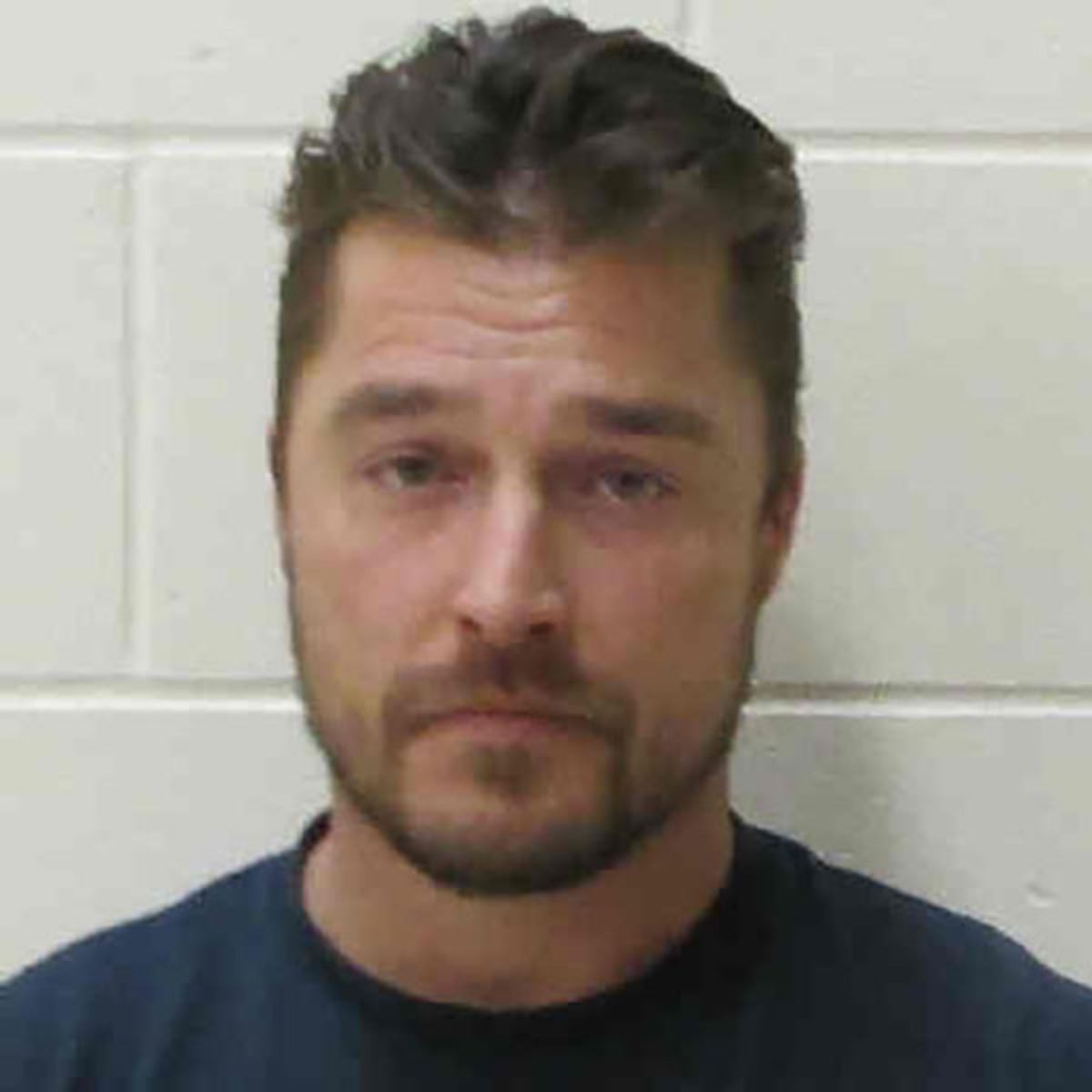 15 Famous Stars Who Were Arrested for DUIs - Kate Knows