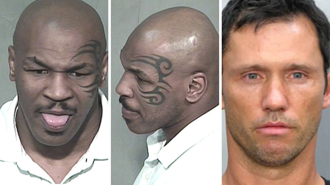 15 Famous Stars Who Were Arrested for DUIs - Kate Knows