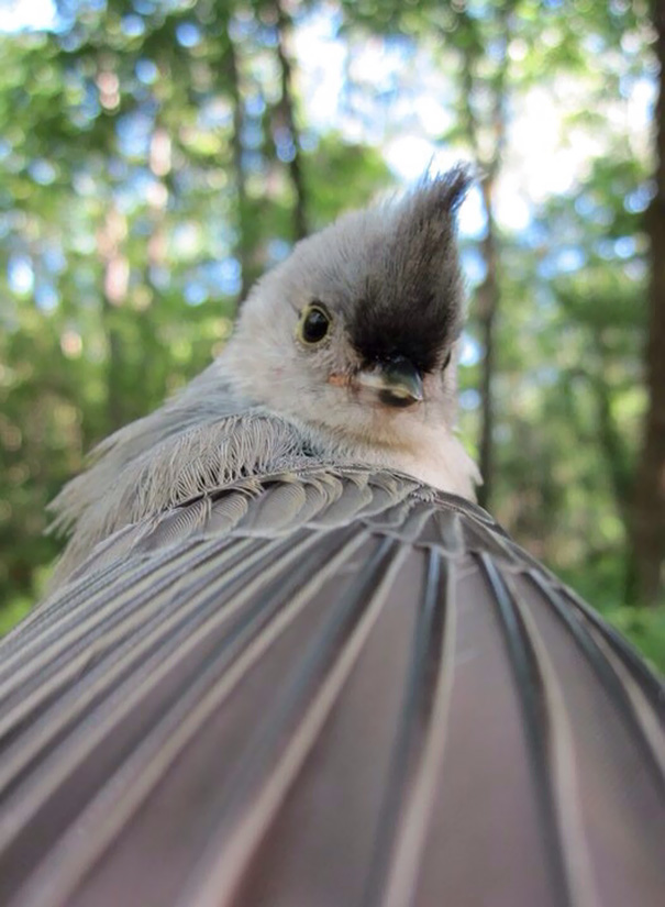 25 Animals Who Accidentally Took The Cutest Selfies Ever - Kate Knows