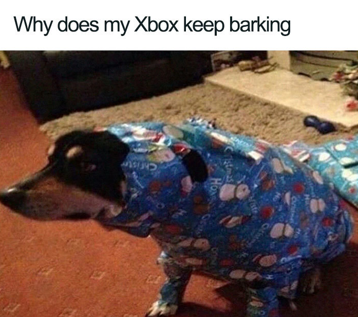 30 Christmas Memes to Get You Through the Holiday Season - Kate Knows