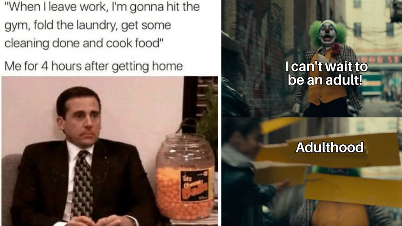 30 Memes for People Who Are Technically Adults - Kate Knows