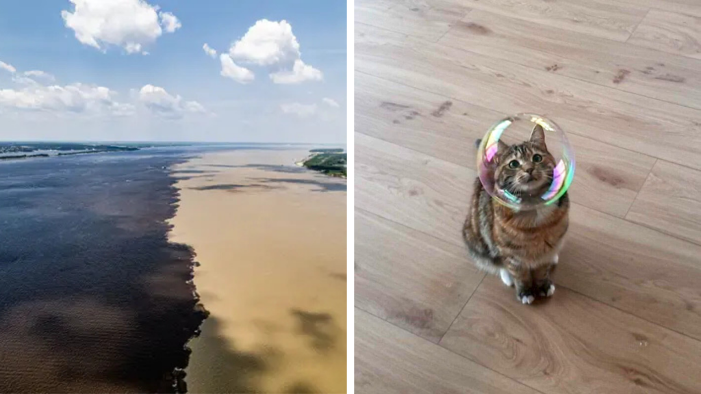 30 Real-Life Photos That Look Like Something Out of a Movie - Kate Knows