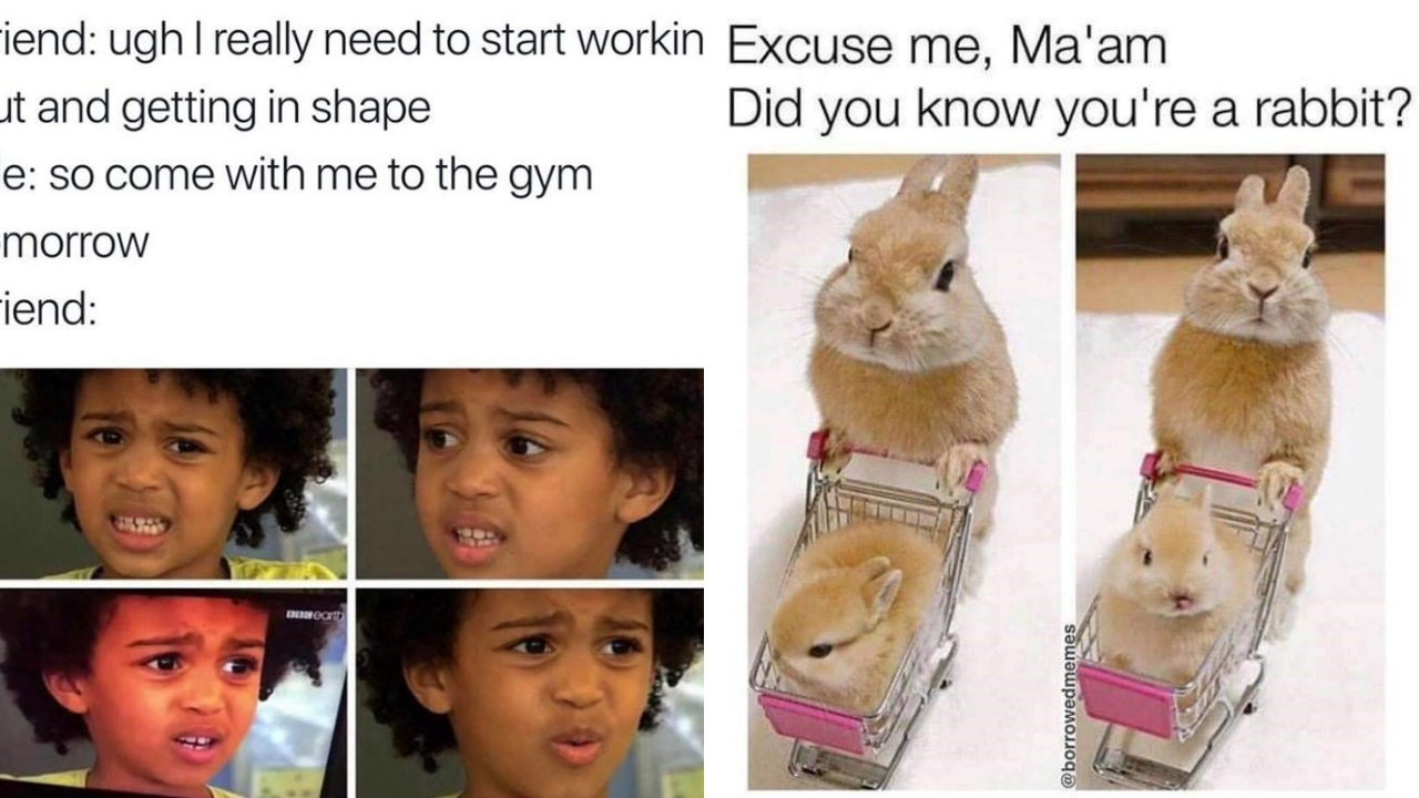 30 Memes About Absolutely Nothing In Particular - Kate Knows