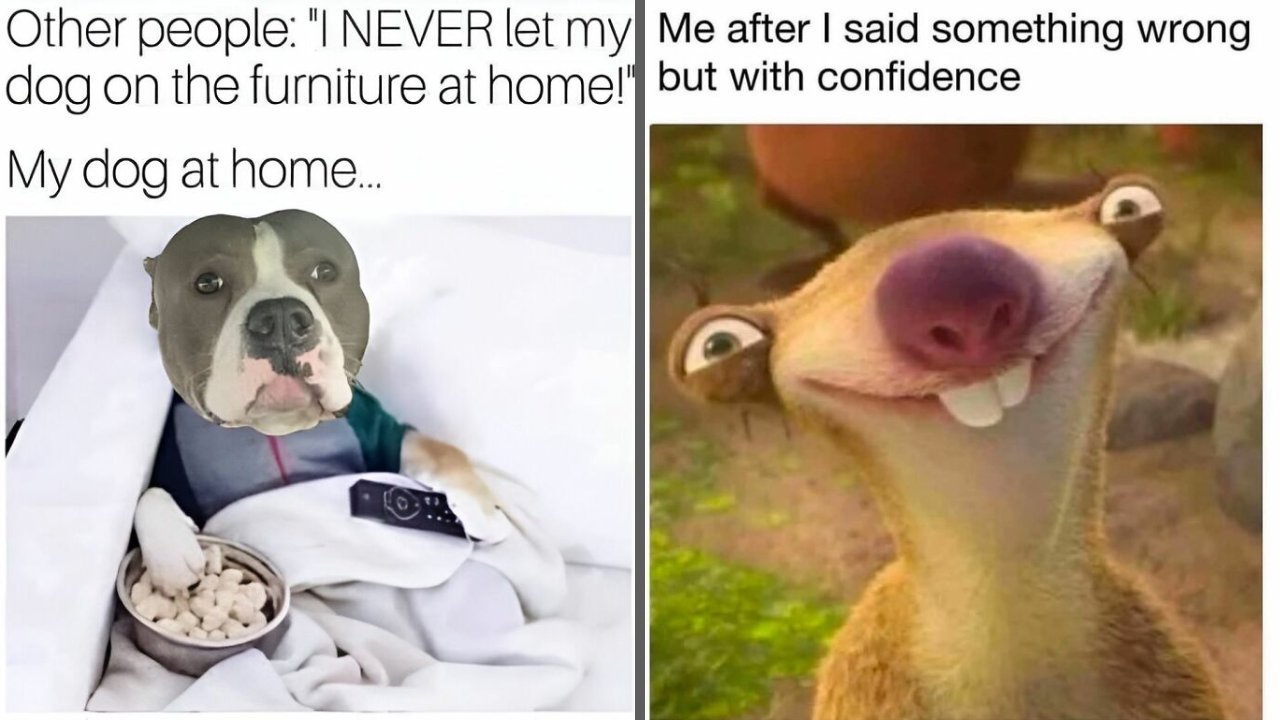 30 Random Funny Memes To Cure Boredom - Kate Knows