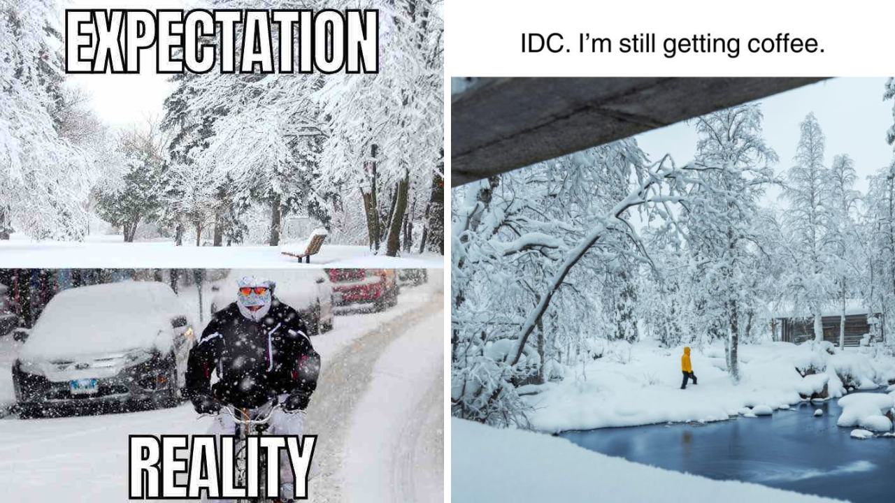 30 Memes For When Fresh Snow Turns Into Brown Slush - Kate Knows