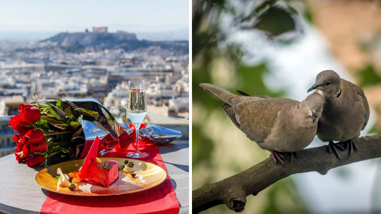 30 ways Valentine’s Day is celebrated around the world - Kate Knows