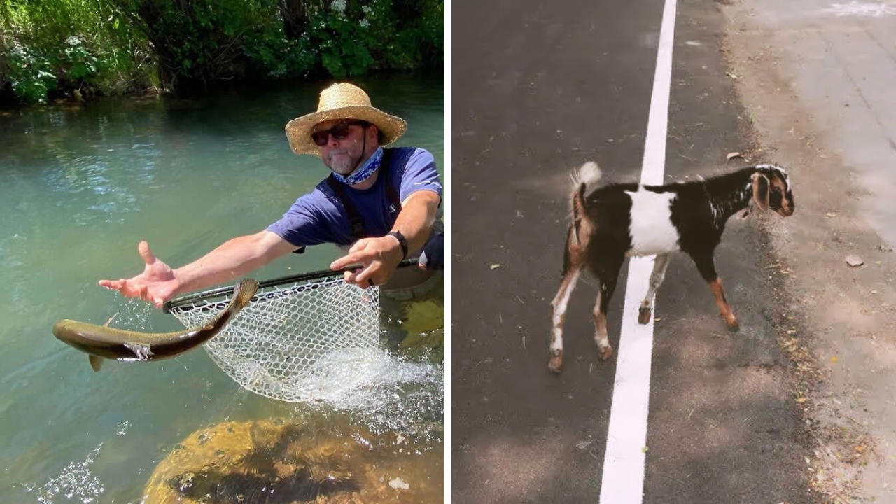 25 Perfectly Timed Photos That'll Distract You For 5 Minutes - Kate Knows