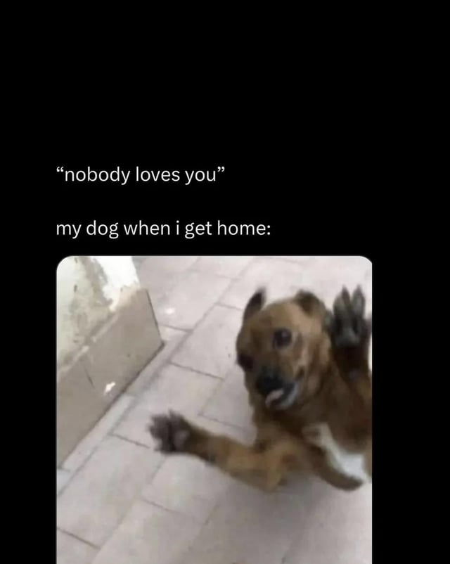 27 Memes Too Wholesome For The Internet - Kate Knows