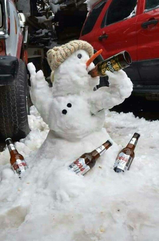 30 Funny Snow Photos That Prove Winter Has a Sense of Humor - Kate Knows