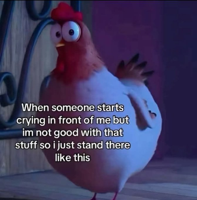 30 Random Memes To Instantly Brighten Up Your Day - Kate Knows