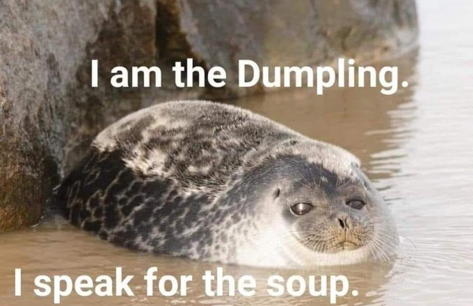 30 Random Memes To Instantly Brighten Up Your Day - Kate Knows