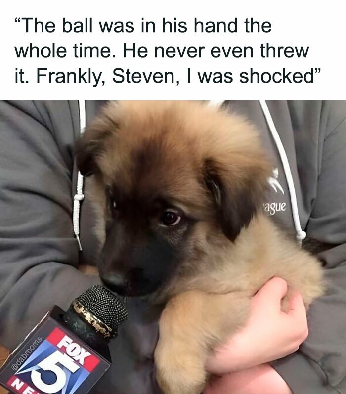 30 Random Funny Memes To Cure Boredom - Kate Knows