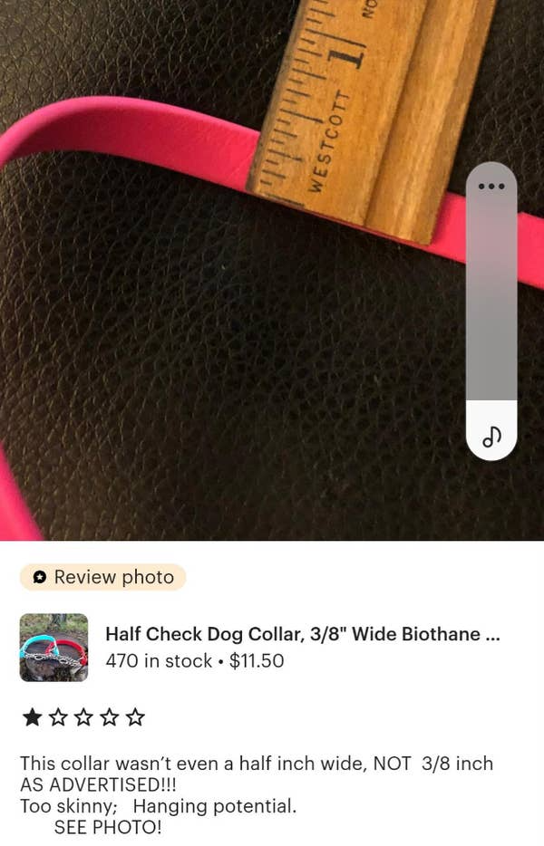 25 People Who Clearly Have Just One Braincell - Kate Knows