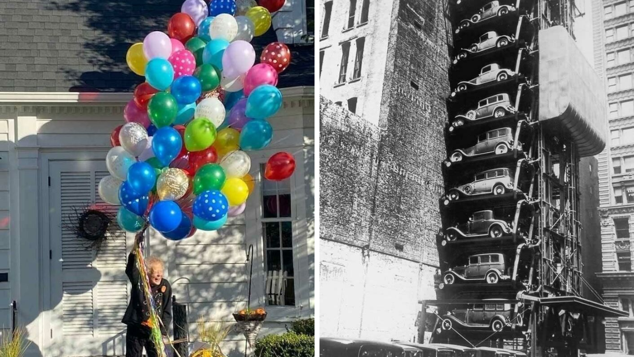 25 Photos That Tell a Whole Story Without Words - Kate Knows