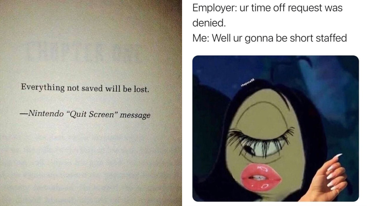 30 memes for the intellectuals of the world - Kate Knows